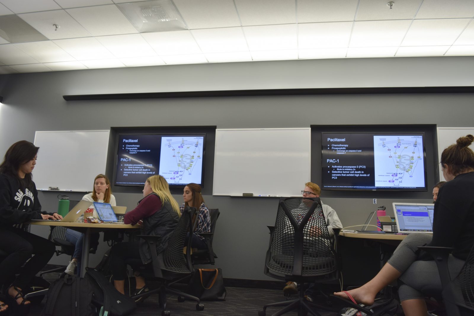 Rethinking the classroom | Chapman Newsroom