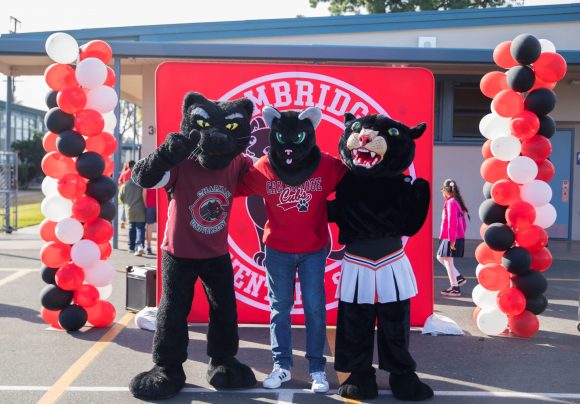 Chapman's Pete the Panther Welcomes a New Cub to the Pack | Chapman ...