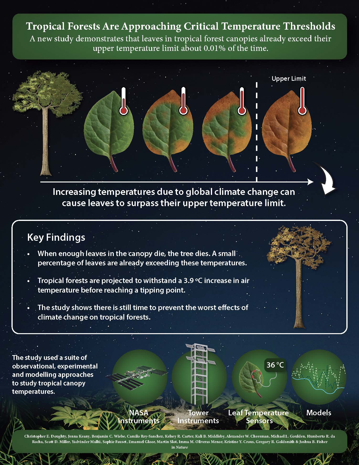 Tropical Forests Are Within Critical Temperature Thresholds | Chapman ...