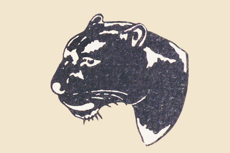 Pete the Panther: A Visual History | Chapman Newsroom