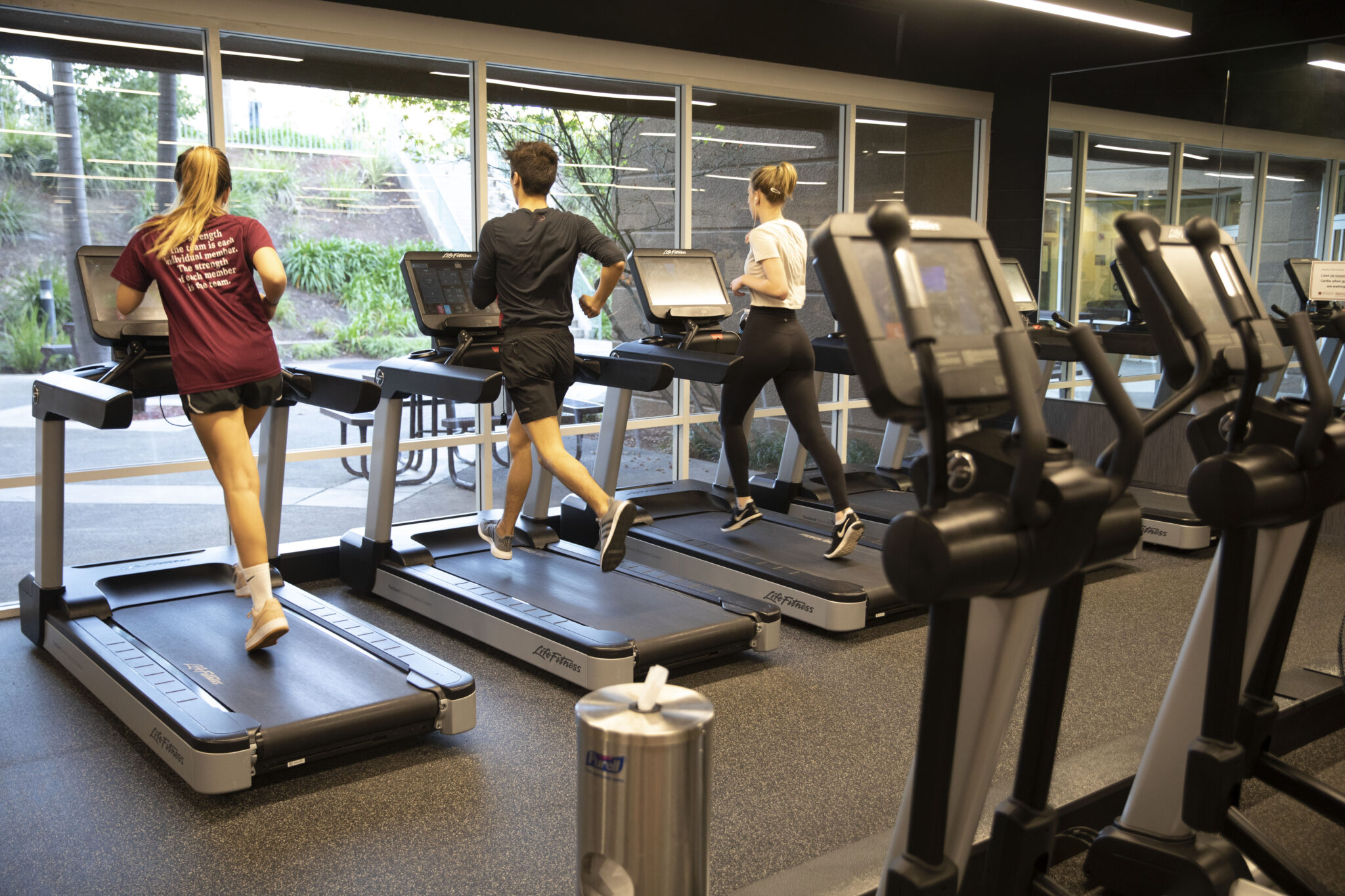 Yoga, Dogs and Free Snacks? Check Out Chapman’s Finals Week Survival ...