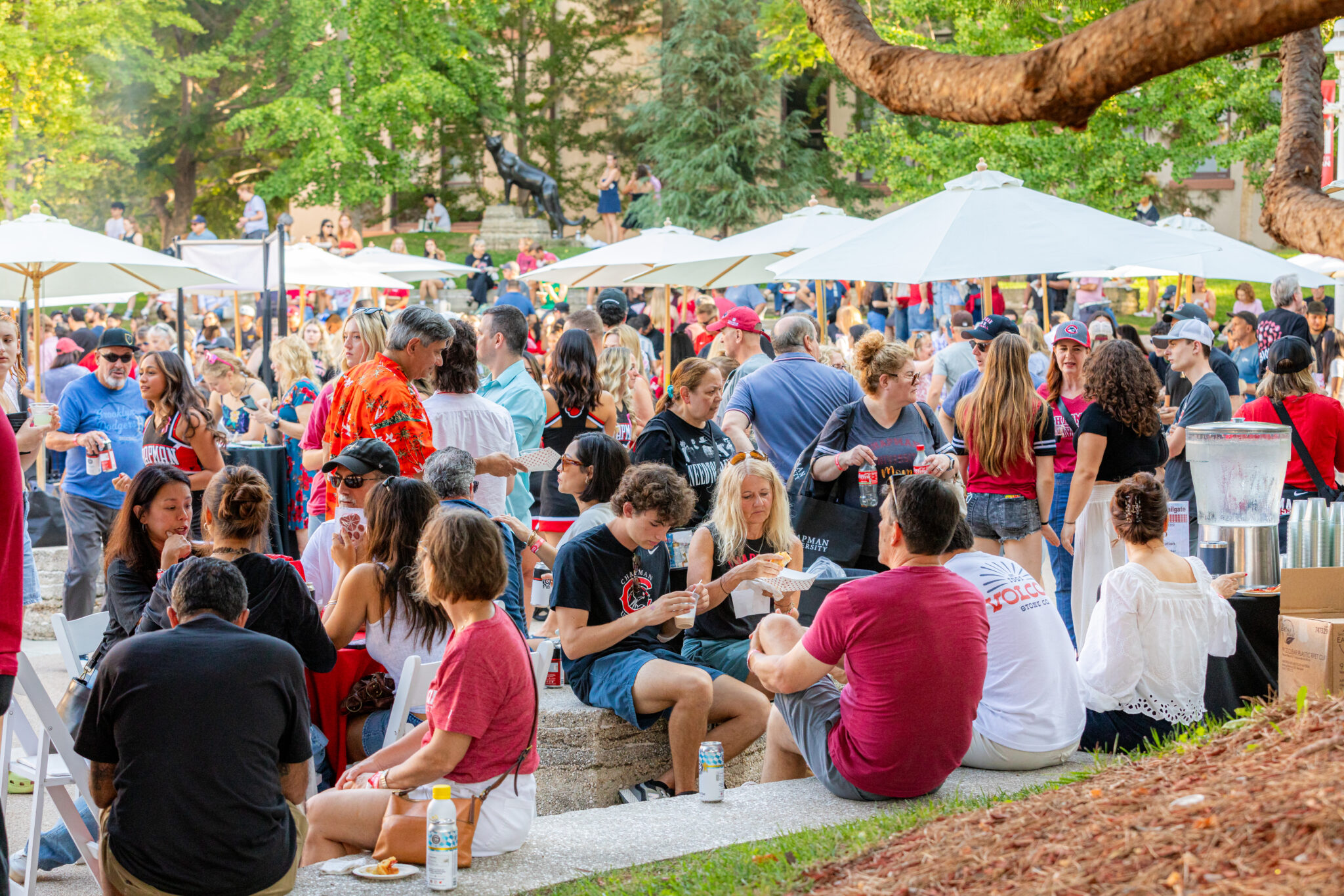 Top Reasons to Attend the Community Picnic During Inauguration ...