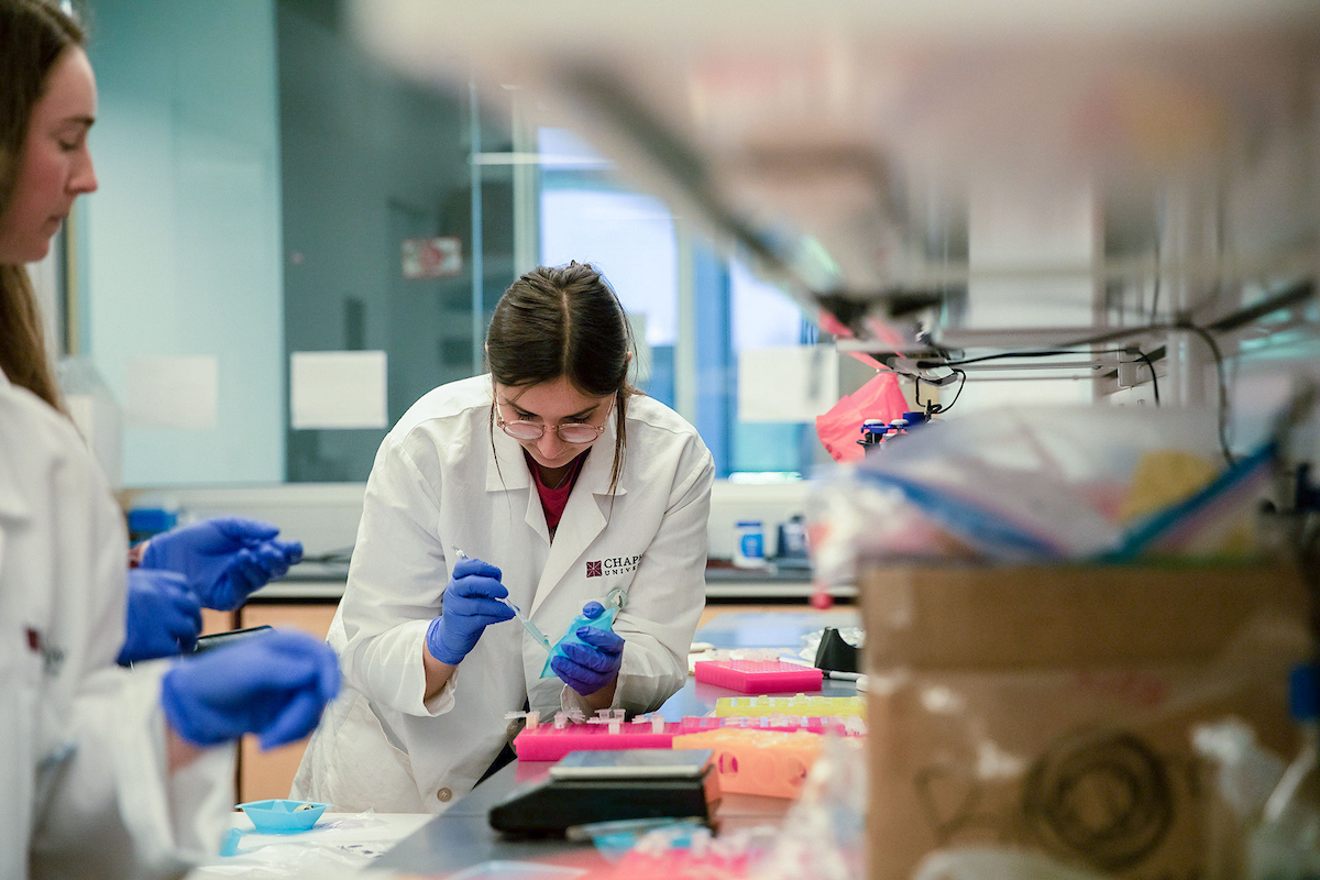 What Can You Do With an Environmental Science Degree? | Chapman Newsroom