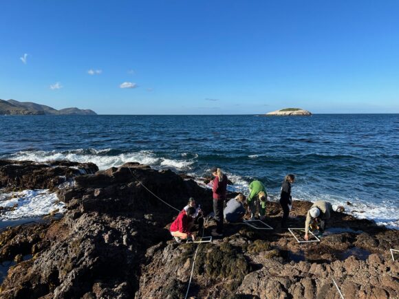 What Can You Do With an Environmental Science Degree? | Chapman Newsroom